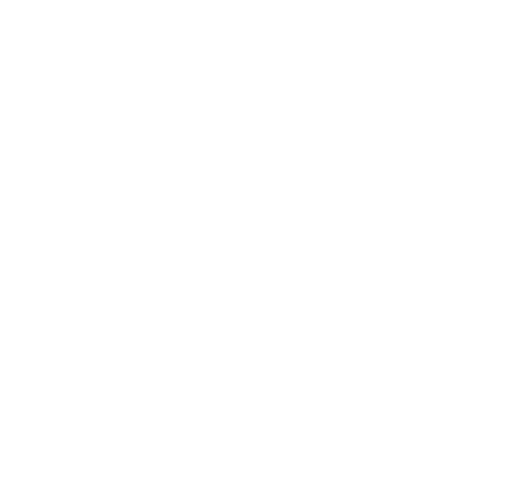 FIbex Telecom – Fibex Telecom