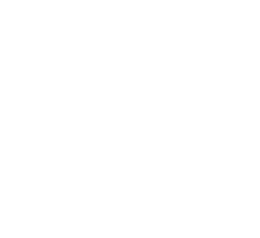 FIbex Telecom – Fibex Telecom