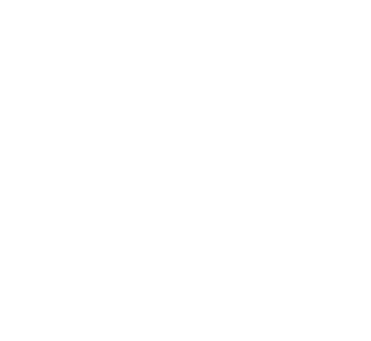FIbex Telecom – Fibex Telecom